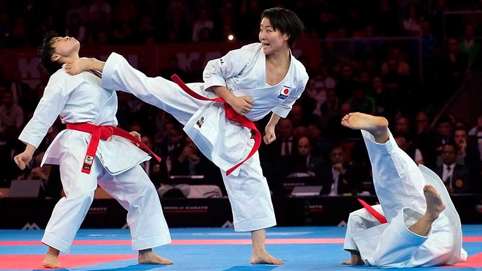 Significado de Soñar con Karate - Significado de Soñar