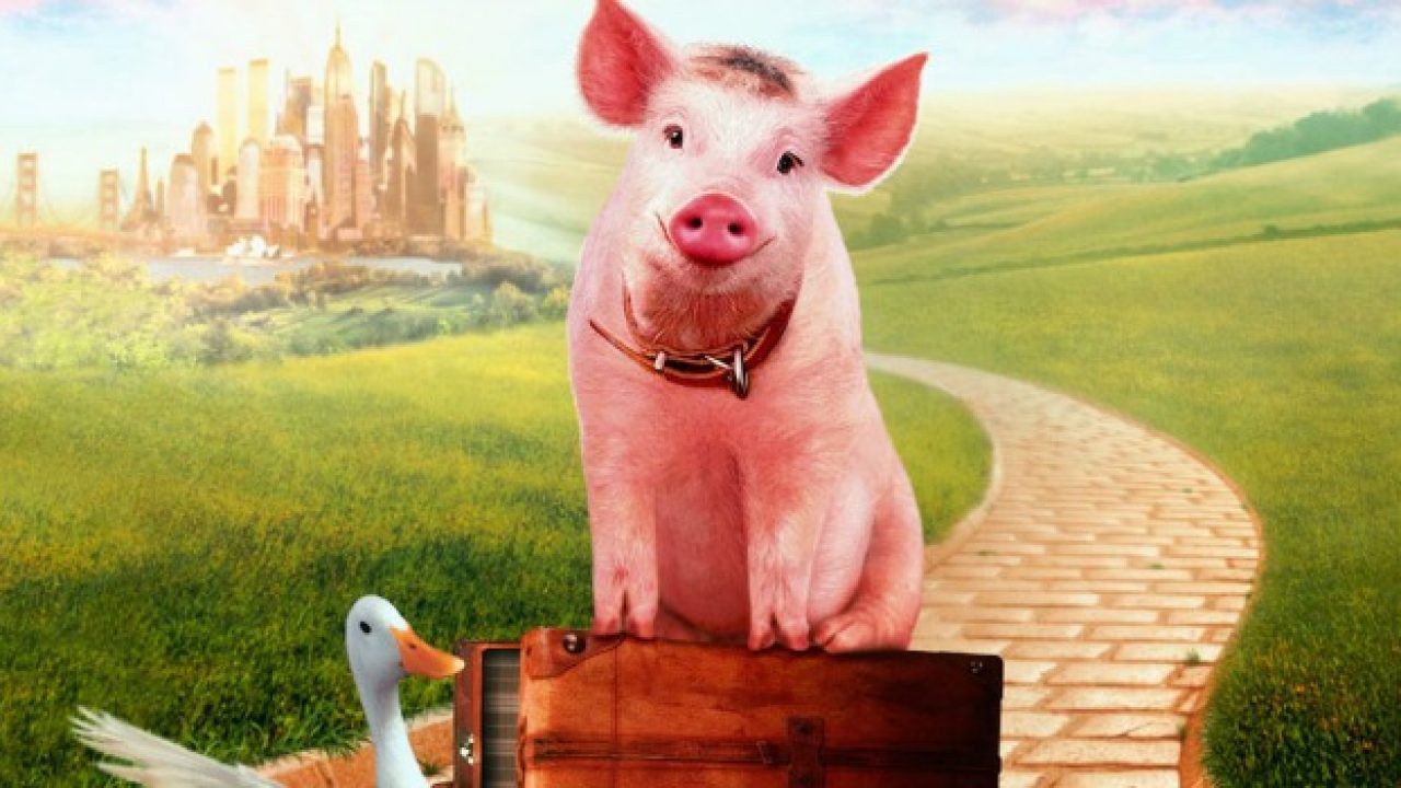 Soñar con marrano - Significado de Soñar