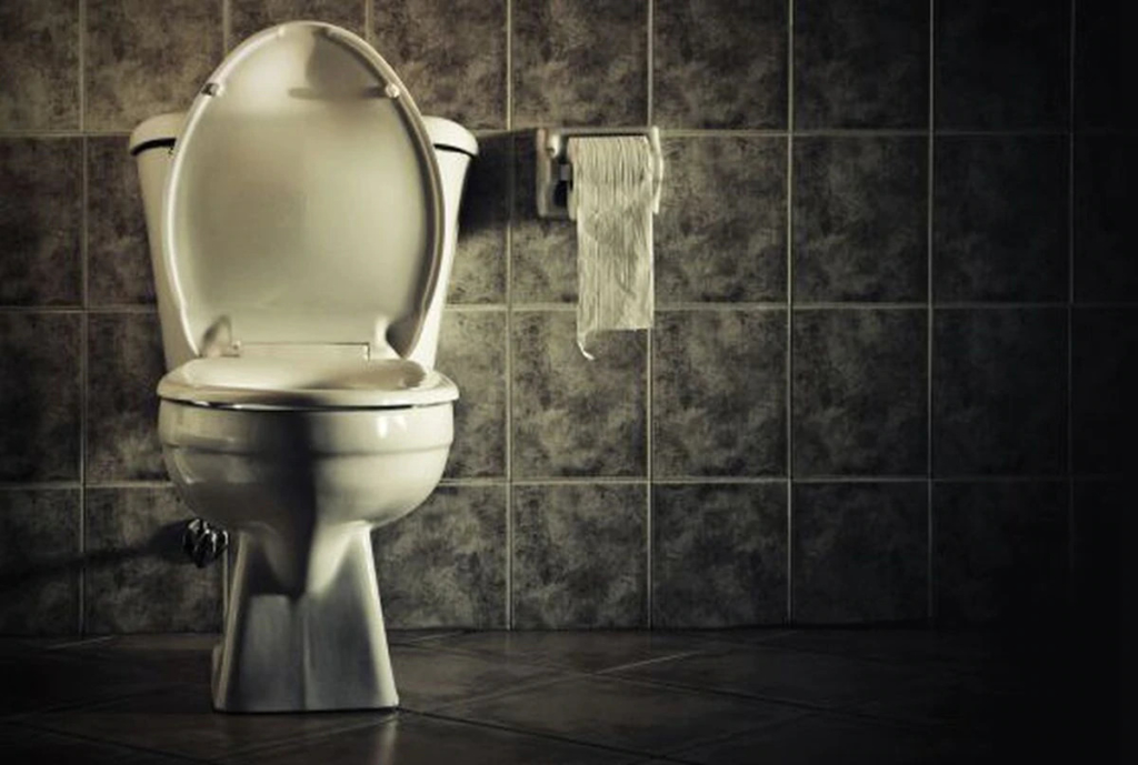 Soñar con popo en la taza del baño - Significado de Soñar